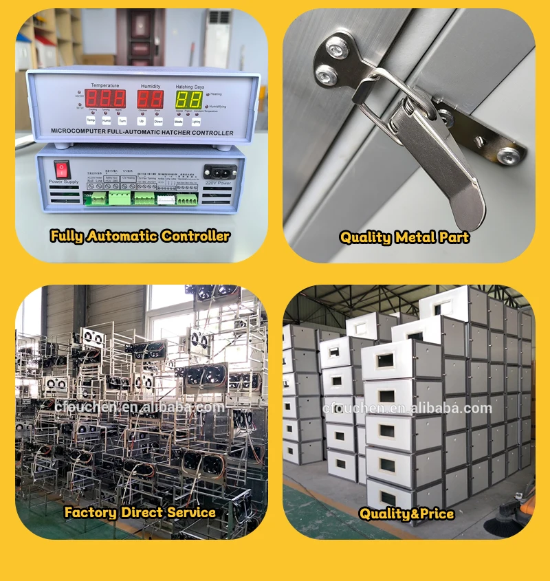Egg Setter and Hatcher Incubator - Dual Power & Automatic Control