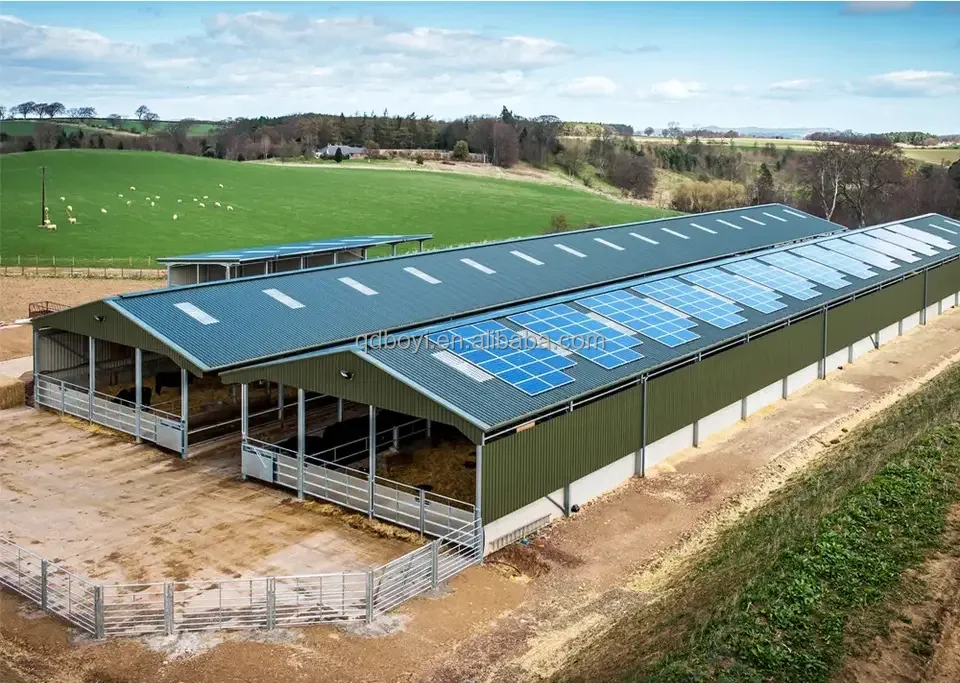 Low Cost Modern Prefab Cattle House Construction Design