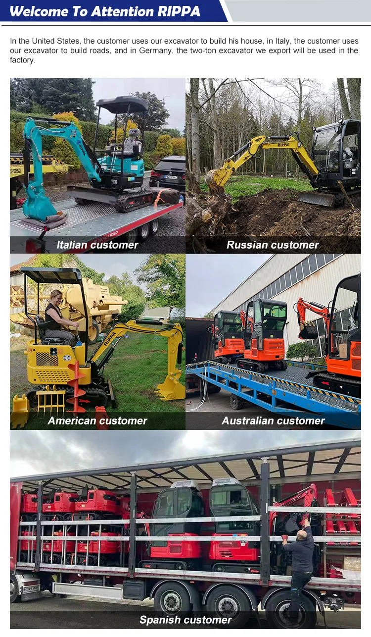 Rippa Machine Manufacture EPA Yanmar Engine Micro Bagger 4 5 T 6 Ton ...