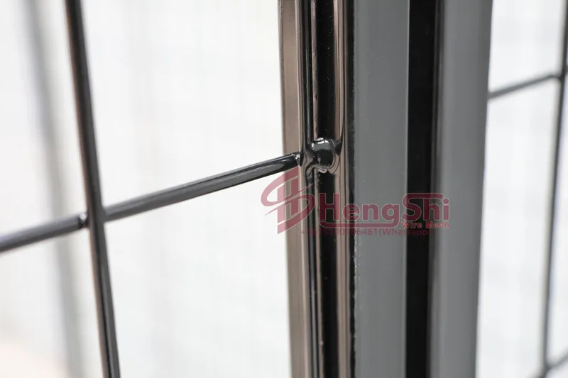 Outdoor Bird Cage - Durable Aviary Mesh Panels & Video Inspection
