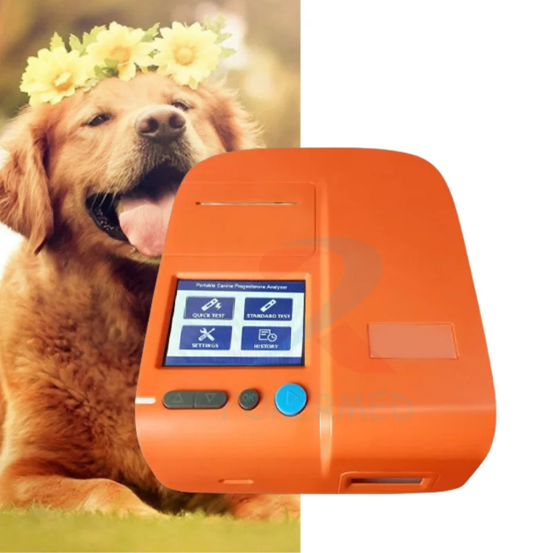 Veterinary Female Dog Pregnancy Progesterone Analysis Portable Canine ...