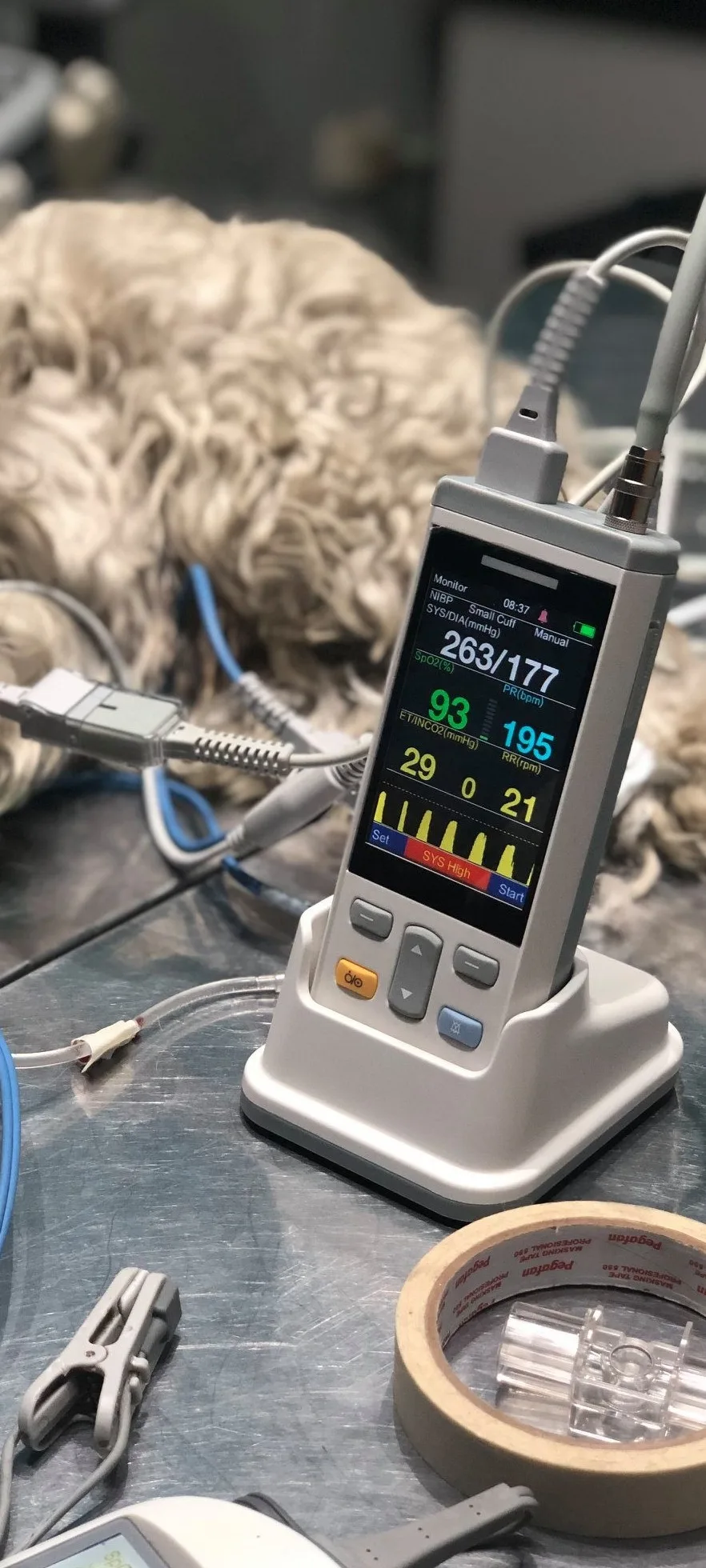 Veterinary Vet Pulse Oximeter With Blood Pressure Vet - Buy Veterinary ...