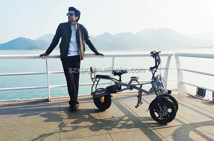 Afreda S6 Foldable 3 Wheel Electric Bicycle, 48V 500W E-Bike with 14 ...