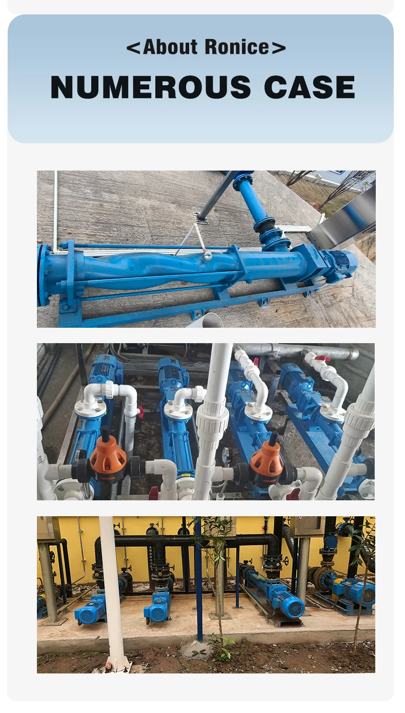 OEM NETZSCH NM031BY01L06B Mud Progressive Cavity Pump Sludge Eccentric ...