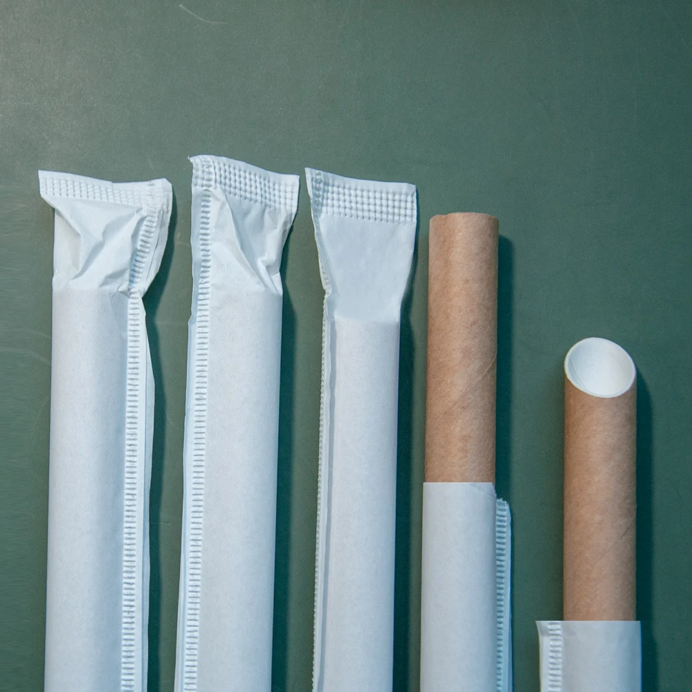 Biodegradable Straw Agave Sugarcane Bagasse Eco Friendly Disposable