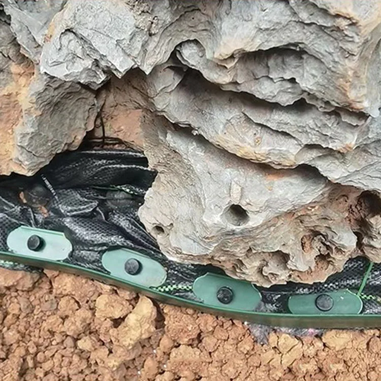 Plastic Fence Border Garden Landscape Lawn Edge Grass Stone Isolation ...