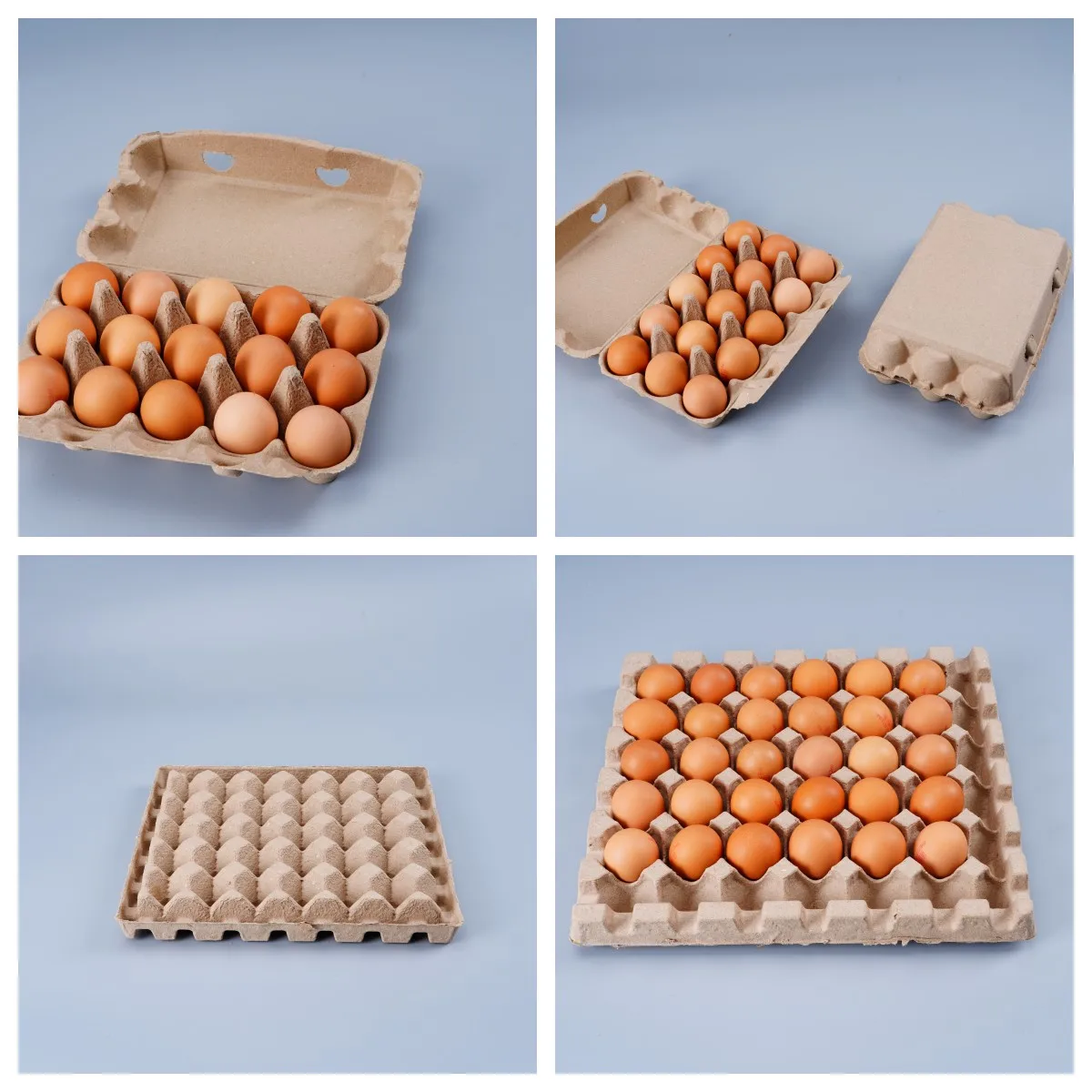 Suppliers 6 12 15 18 20 30 Grids Biodegradable Packaging Carton Chicken ...