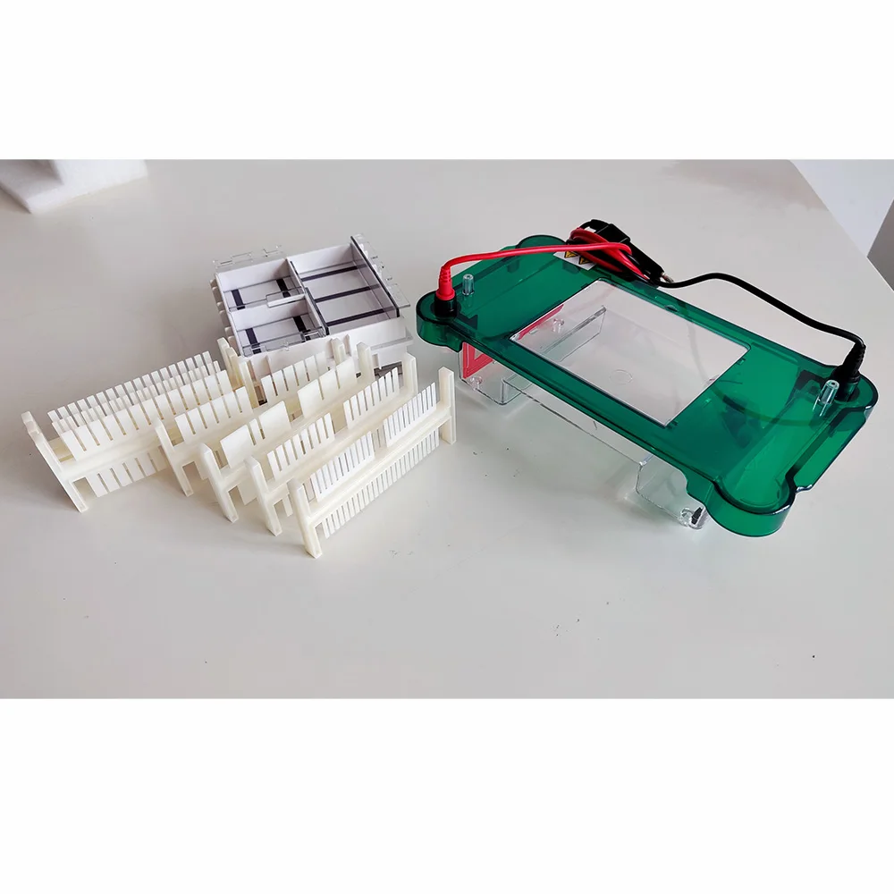 DW-SPCT Gel Electrophoresis Tank - DNA Electrophoresis System