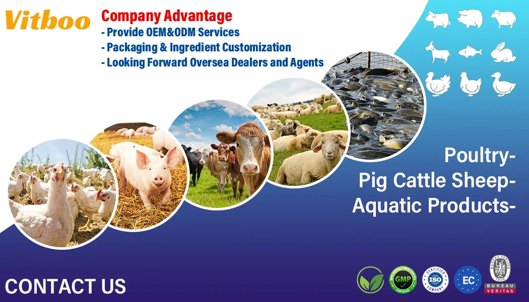 Pig Growth Booster - Enhance Pig Feed with Vitboo Additive