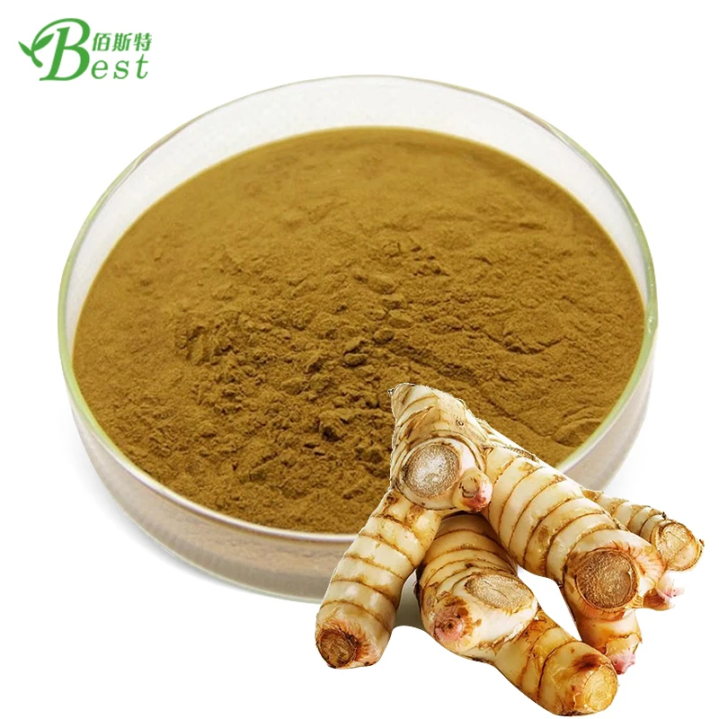 Pure Alpinia Officinarum Lesser Galangal Rhizome Extract Powder 10:1 ...