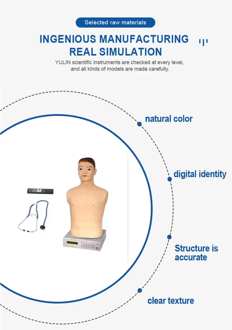 Male Half Body Abdominal Palpation Simulator Manikin for College ...