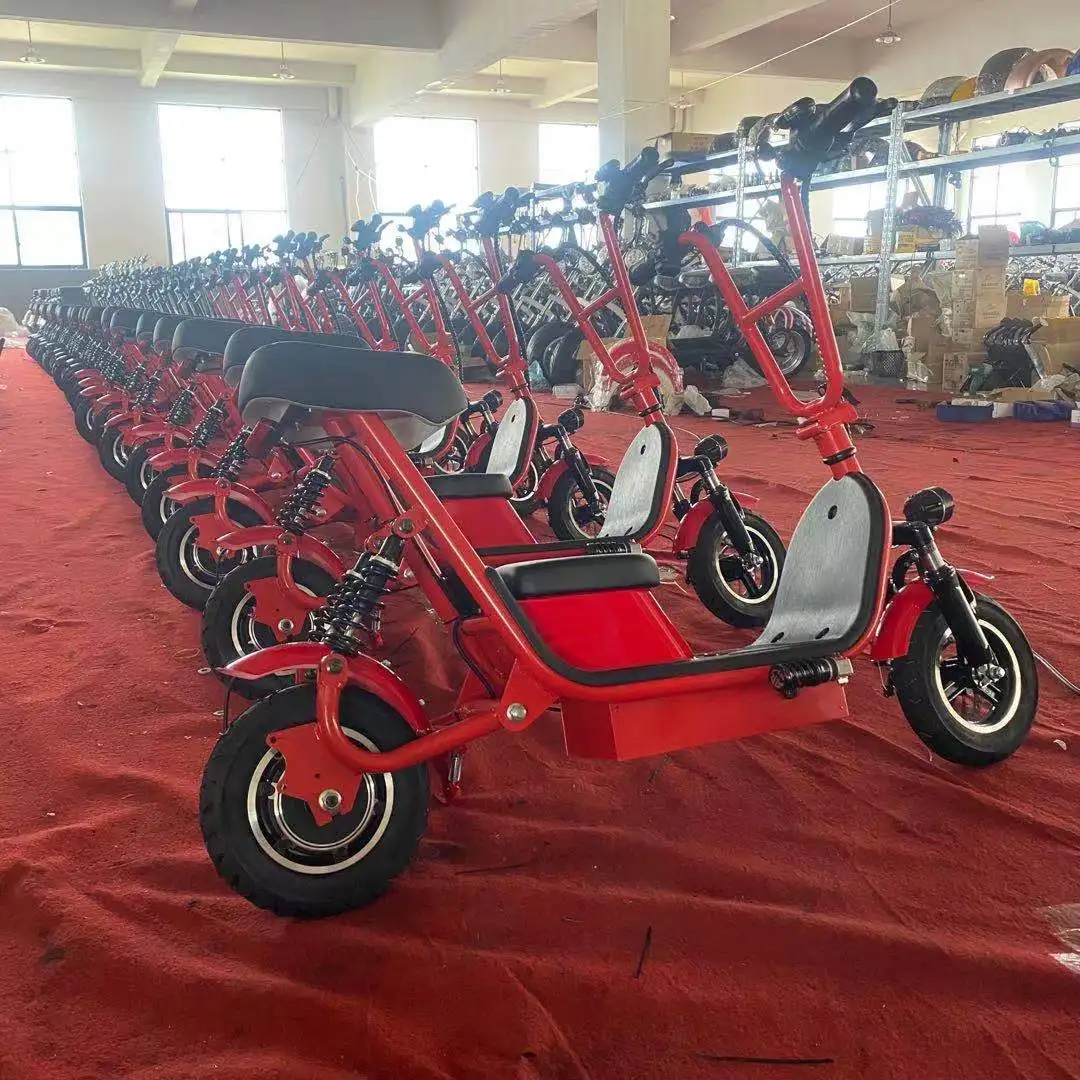 Mini Harley Scooter - Citycoco Electric Bike for Europe & USA