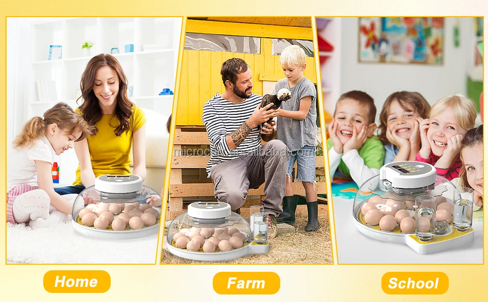 Incubators Hatching Eggs Solar Powered Hatchery Machine Chicken Egg 5800