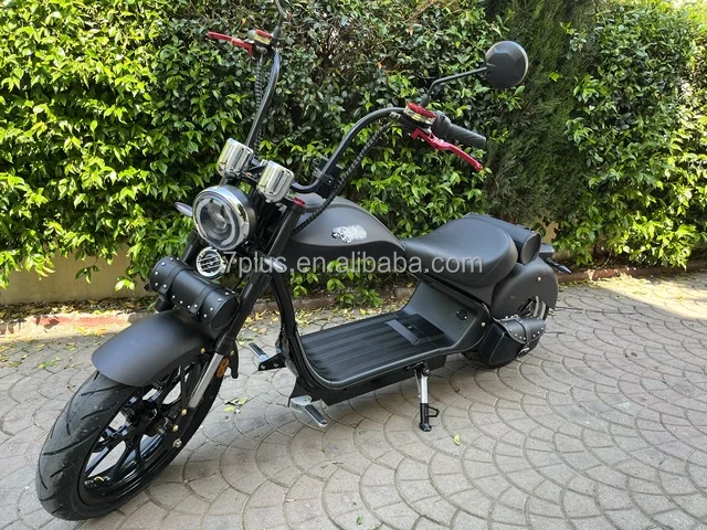 4000W Three Wheeler Electric Citycoco Tricycle E Scooter