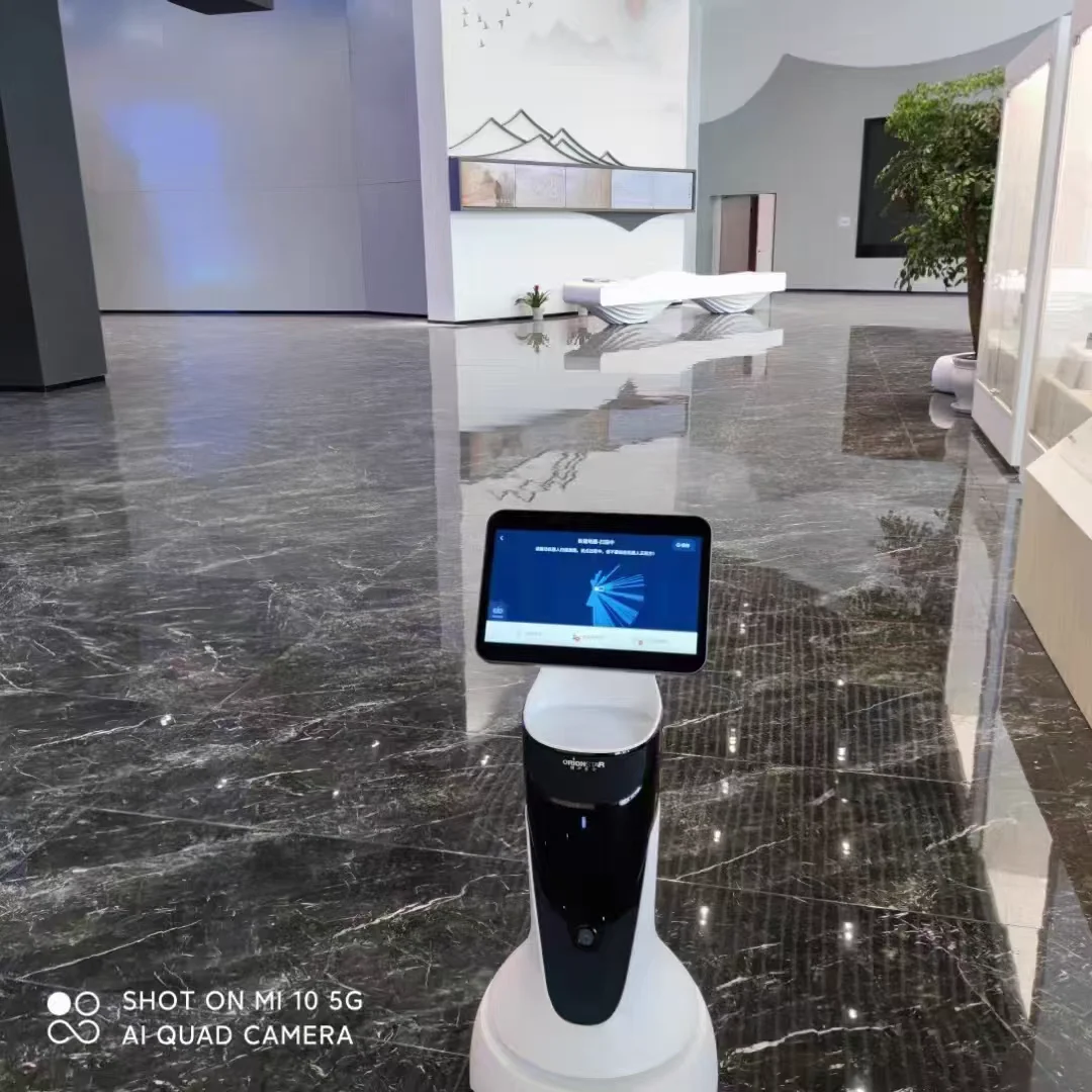 Humanoid Receptionist Greeting Robot Intelligently| Alibaba.com