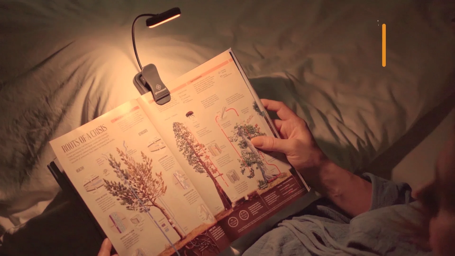 2023 New Design Illuminate Upgrade Mini Clip On Book Led Light ...