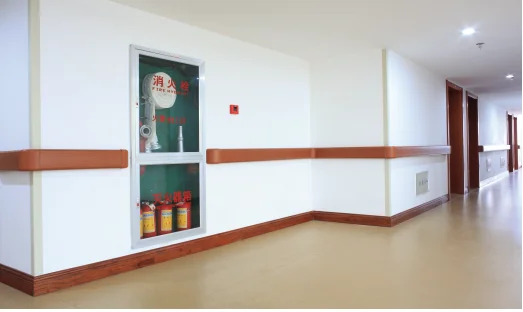 Hospital Wall Mounted Safety Handrails - PVC Medical Bumper Rails