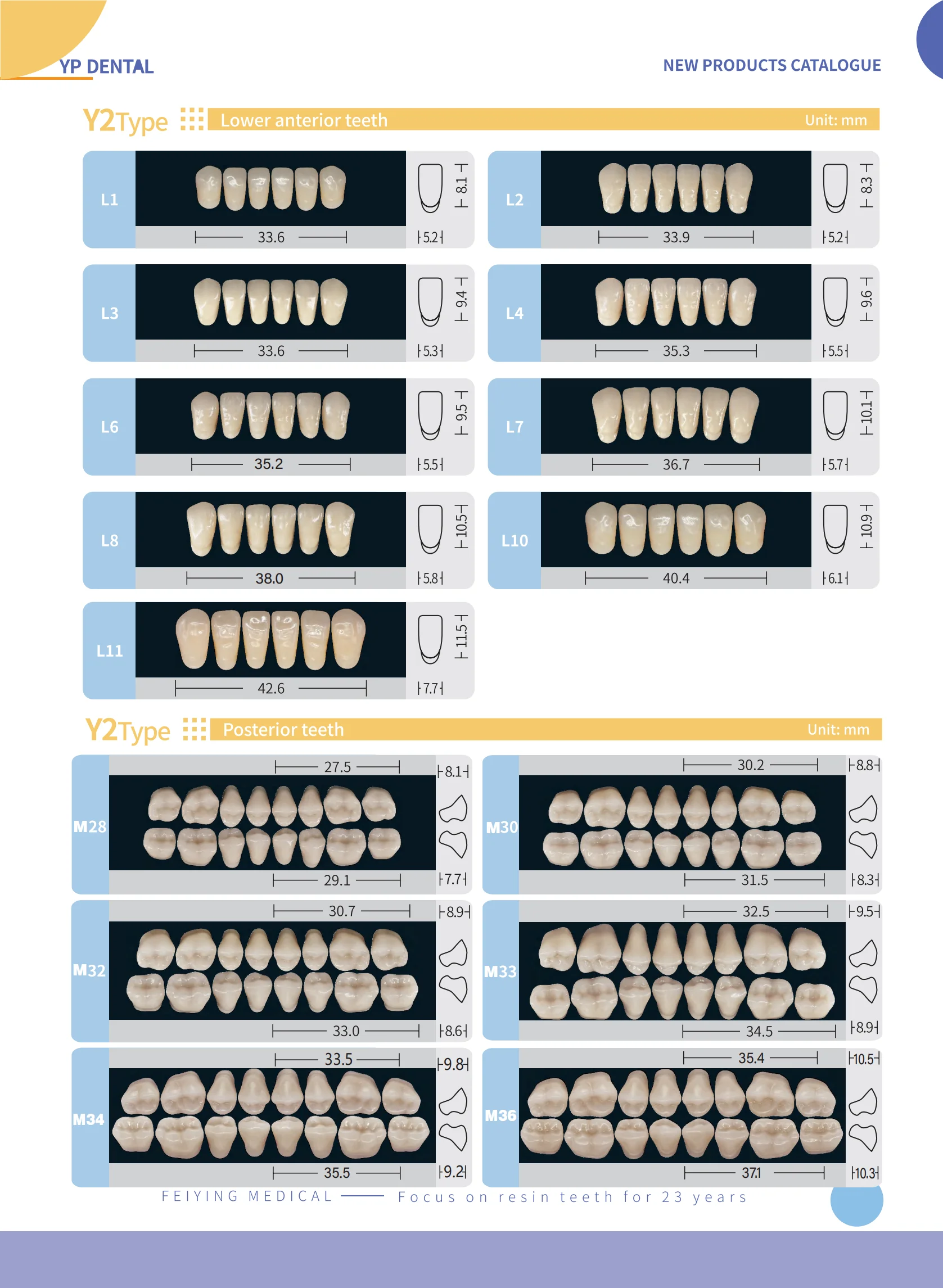 Denture 3 Layer Composite Resin Teeth - YP DENTAL Quality