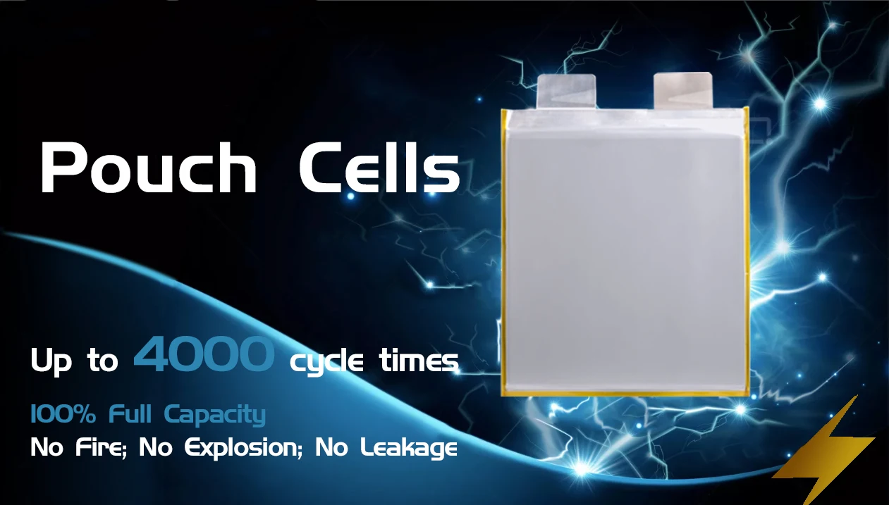 Lithium Ion Battery Pouch Cell With Bms 25ah 50ah 60ah 100ah Gotion ...