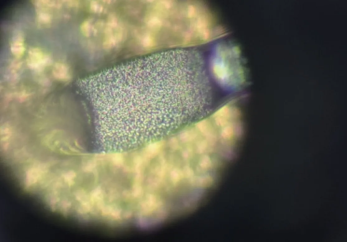 MDZW-WB1875 Manual and Semi-Automatic Wedge Wire Bonder , China MDZW ...