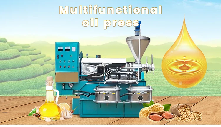 Onion Olives Hydraulic Machine - Efficient Olive Oil Production