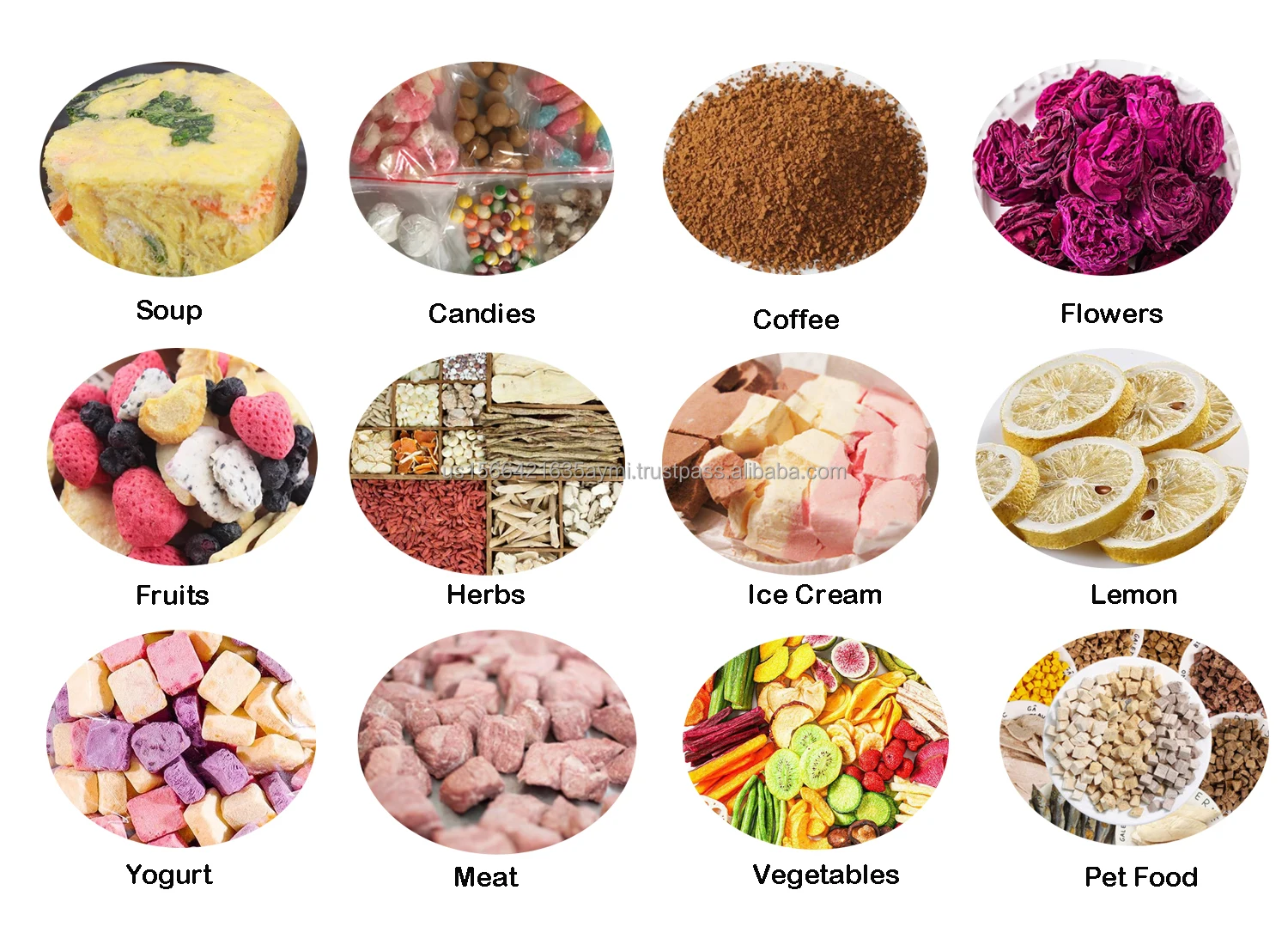 Freeze Dryer Candy Mini Freeze Dryer Machine Herbs Freeze Dryer - Buy ...