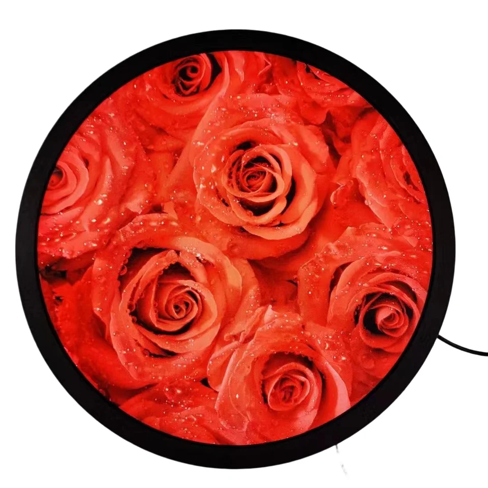 23.6 Inch Round Lcd Screen Dv236fbm-n00 1280*1280 Resolution 1500 Nits ...