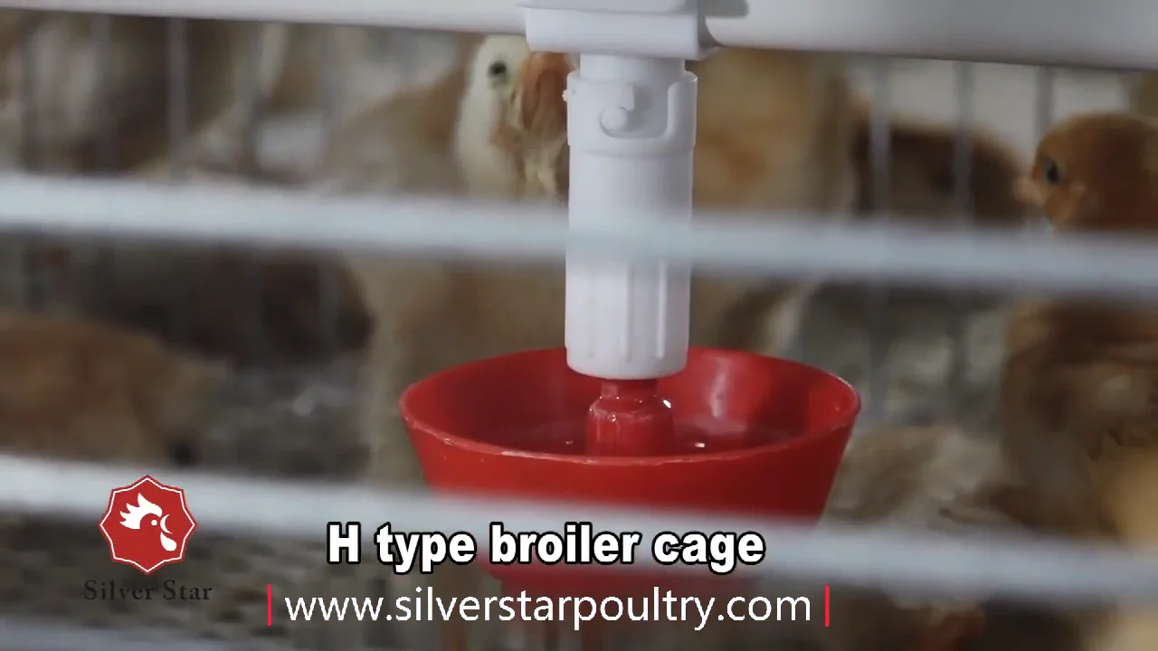 Broiler Poultry Farm House Design Folding Chicken Cage/multi-tier ...