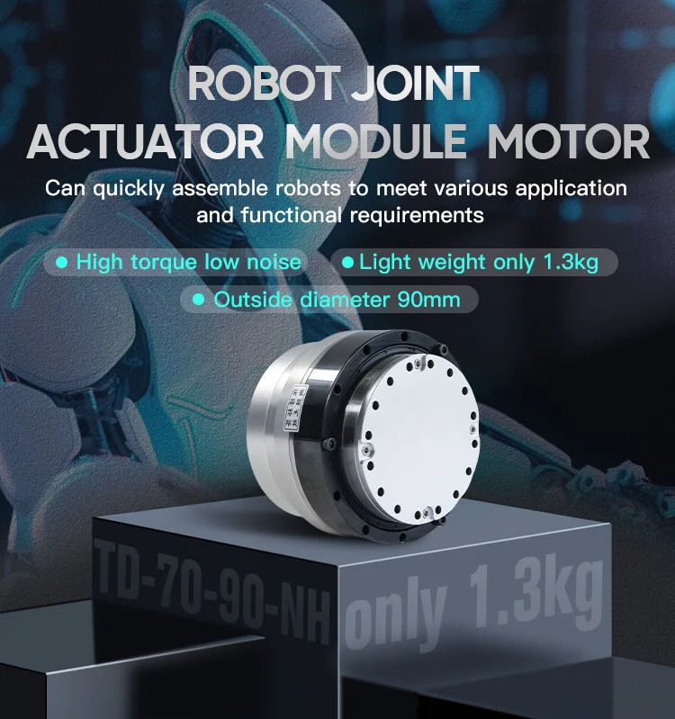 Efficient Humanoid Service Robot Module Joint Motor Servo