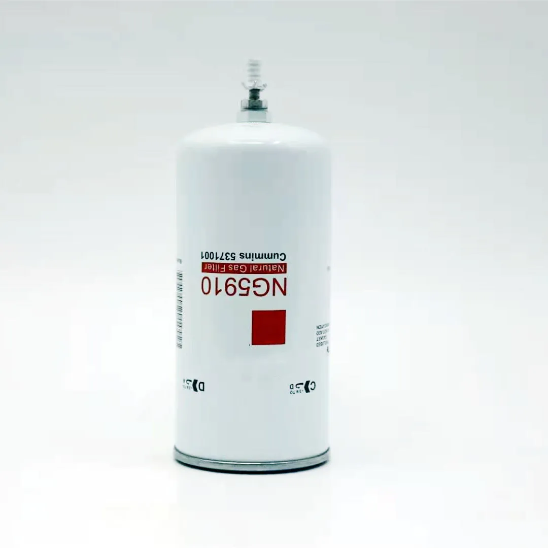 Hzhly Filter Natural Gas Filter Ng5910 5371001 - Buy Fuel Water ...