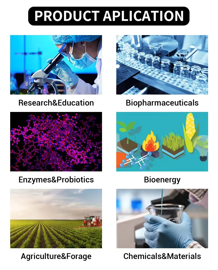 High Quality Stainless Steel Mechanical Stirring Fermenter Bioreactor ...