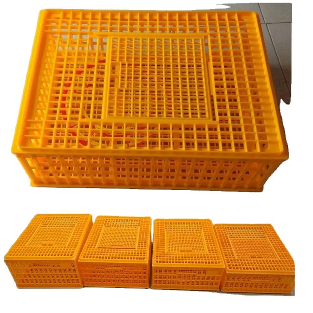 Plastic Live Chicken Cages Transport Crate To Transport For Sale - Buy ...