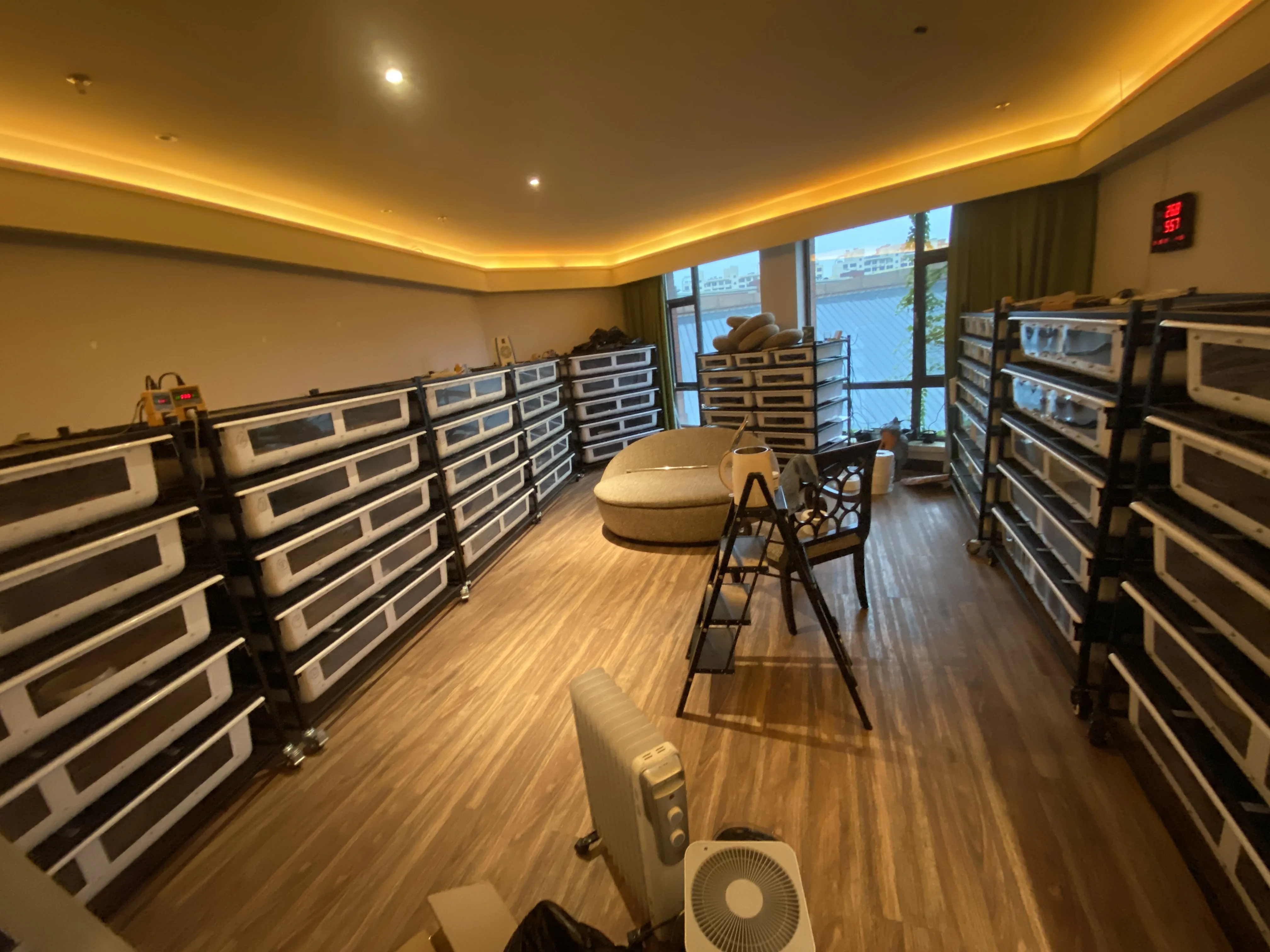 Snake Racks - Sustainable Solutions for Reptile Enclosures