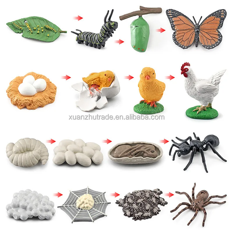 Life Cycle Toys - Educational Figurines for Preschoolers