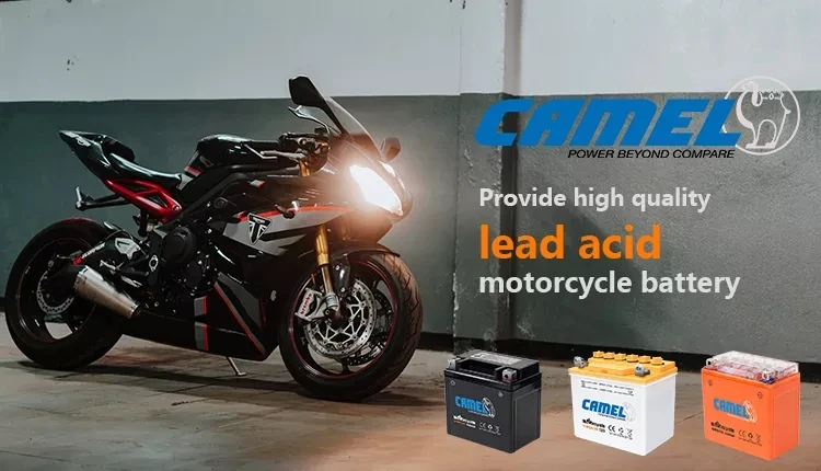 Camel Brand Maintenance Free Dry Cell And Storage Battery 12v 7ah ...