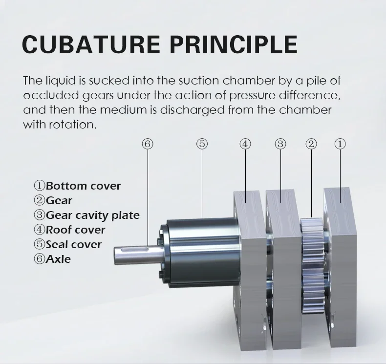 High Pressure Rotary Gear Pump Powder Machine Motor Driven Metering ...