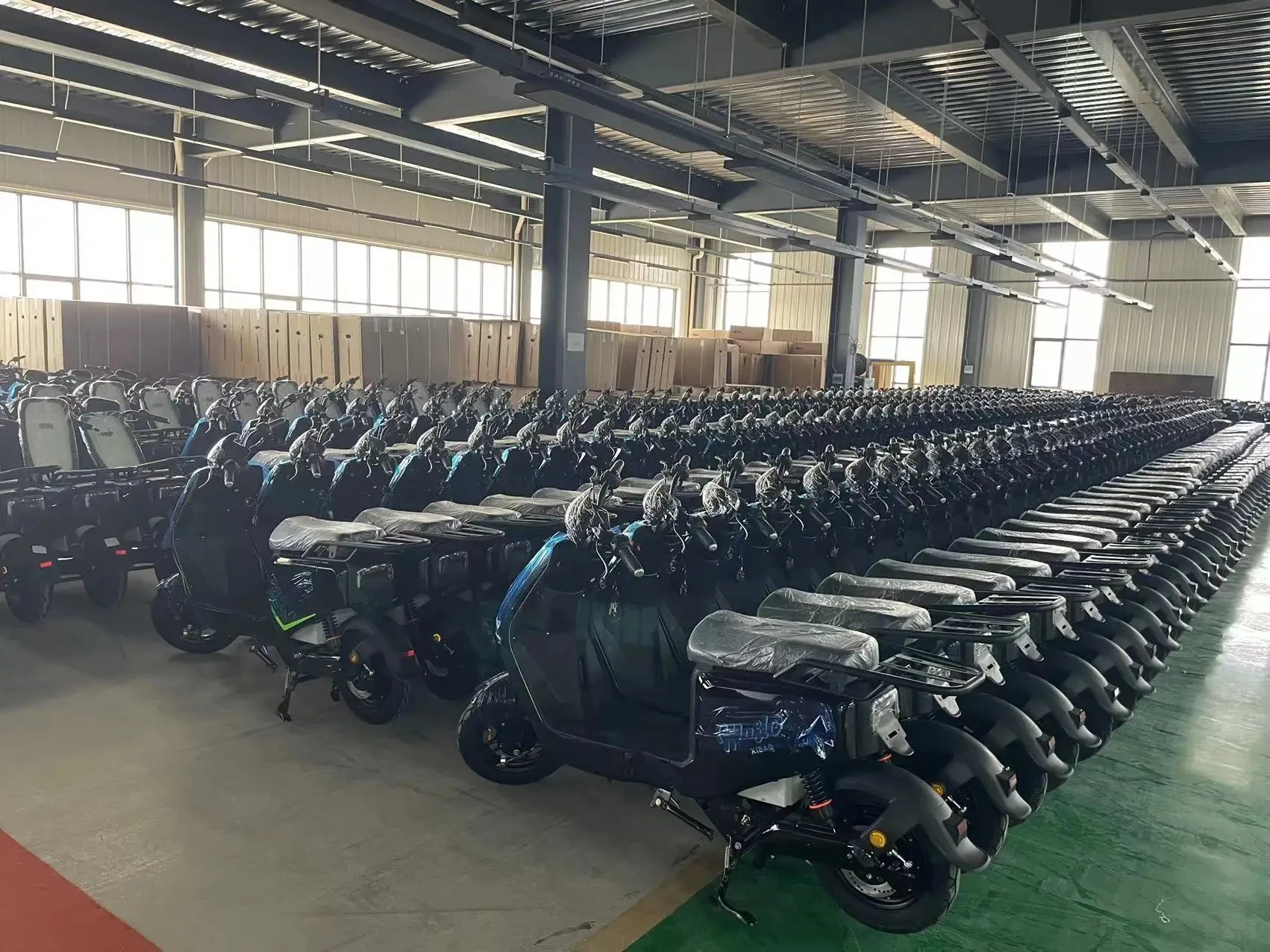 2 Wheel High Speed Cruiser Motorbike - Electric Fierce Animal