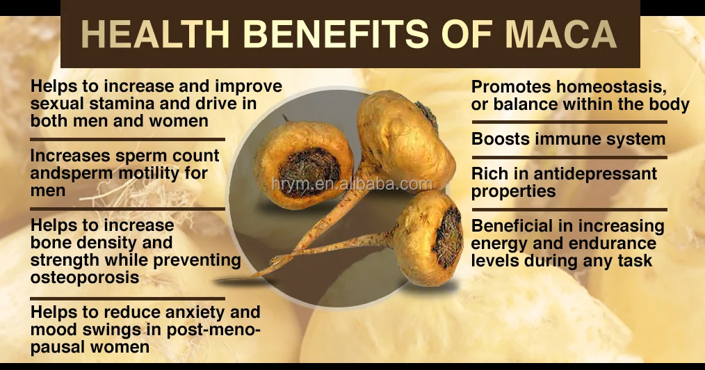 Maca Root Ginseng Extract - Enhance Energy & Balance Hormones