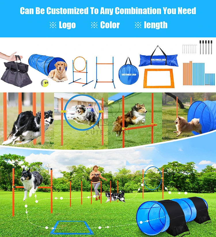Custom Agility Training Equipment for Dogs - Obstacle Course