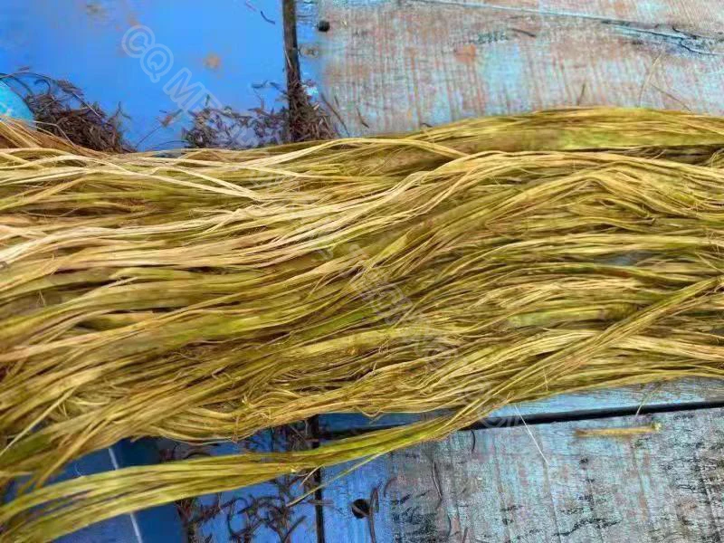 Factory Kenaf Abaca Fiber Extractor Machine Fresh Hemp Fiber Extractor ...