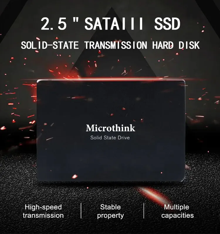 Custom Microthink SSD 2.5 Inch Sata Internal Solid State Drives 120GB ...