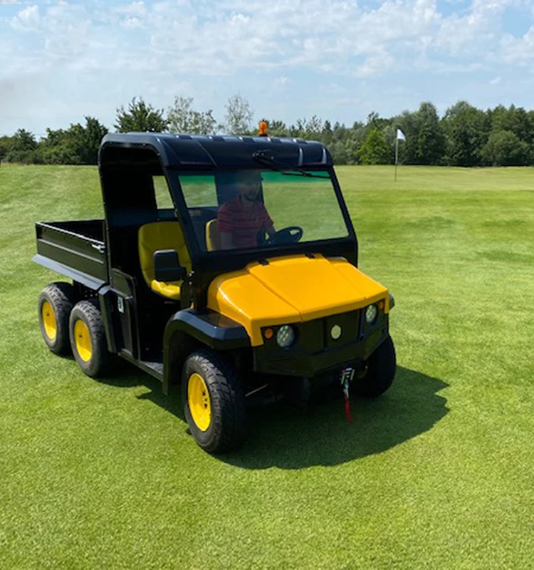Professional Custom Electric Utility Vehicle New Energy Electric Car ...