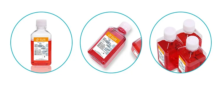 DMEM F12 Cell Culture Media With HEPES and Antibiotic for Laboratory ...