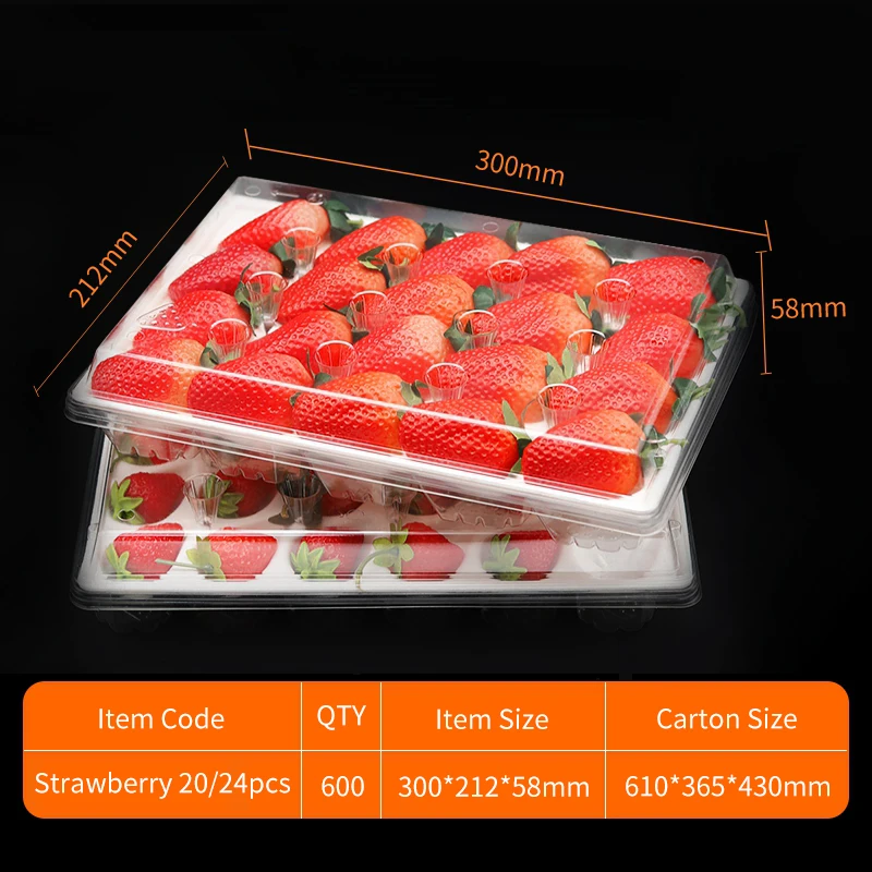 Clear Blueberry Box - Ideal for Strawberry Packaging
