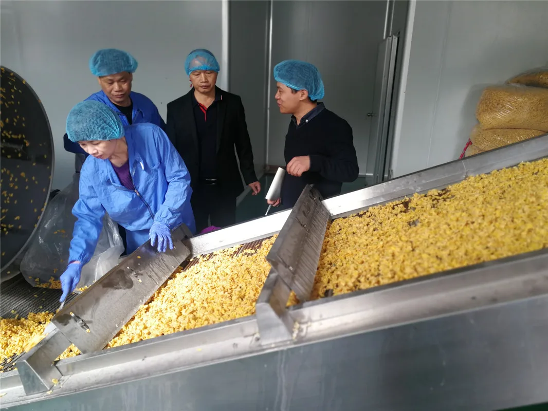 Hot Sale Fried Snacks Processing Line Snack Fries Machine - Buy Snack ...