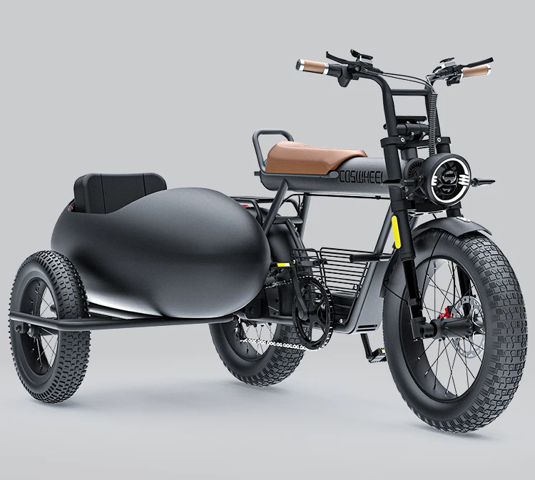 Coswheel Side Car Pedal Assist Bike Sidecar To Carry Pets Electric Fat ...