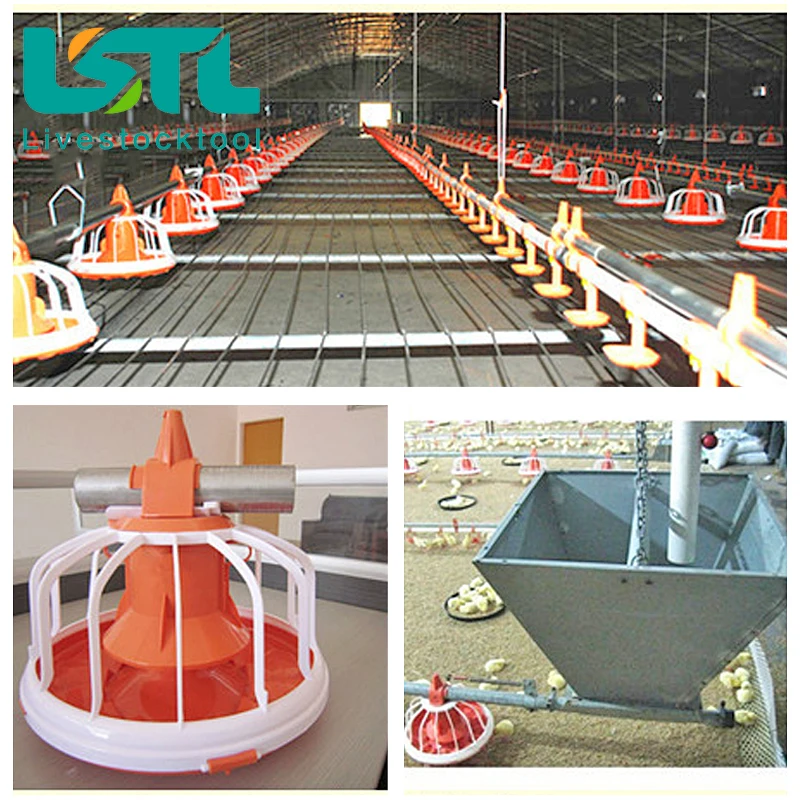 PP Automatic Chicken Feeding System - Efficient & Durable