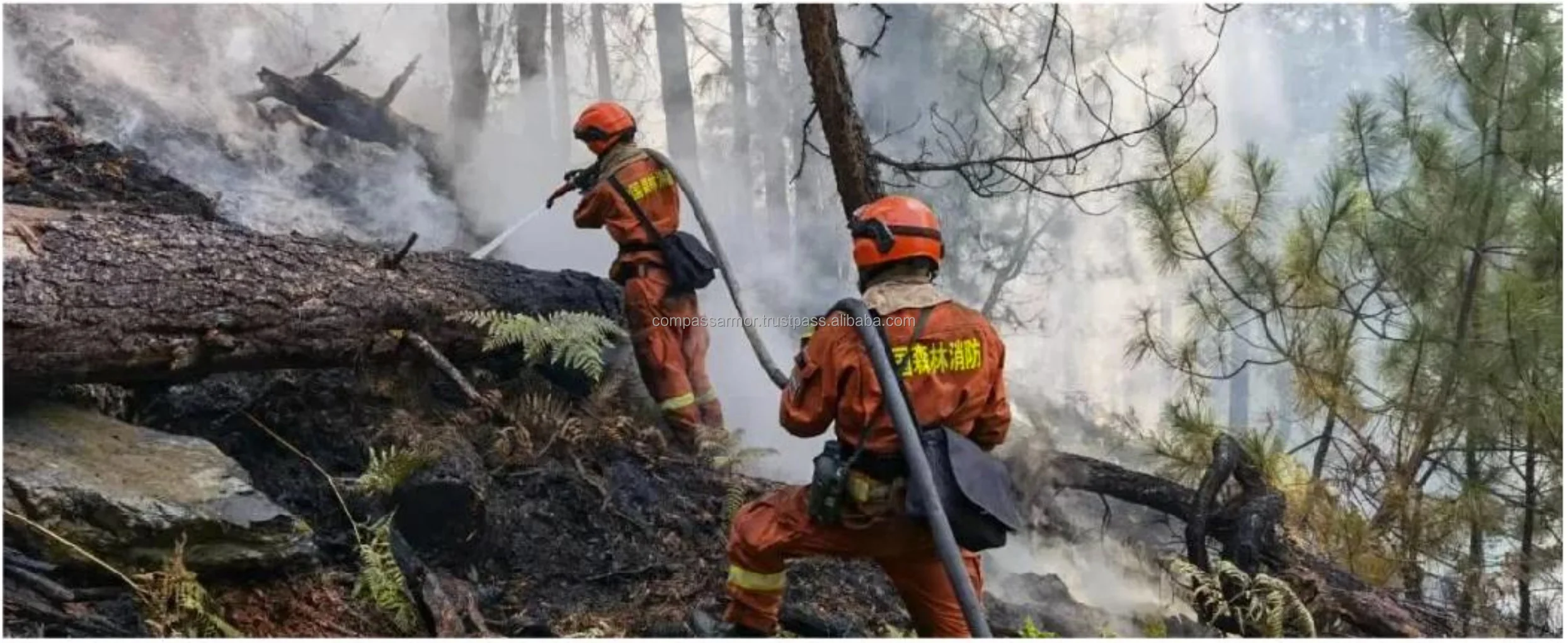 Compassarmor Firefighter Carbon Fiber Shell Helmet Fireman Rescue Red ...