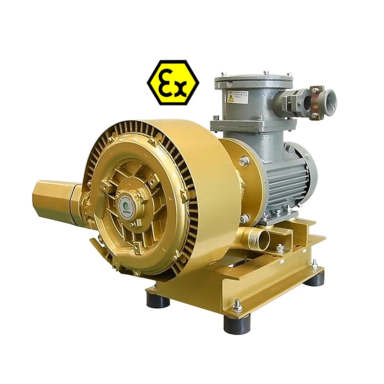 Customizable ATEX Pneumatic Regenerative Blowers and Vacuum Pumps ...
