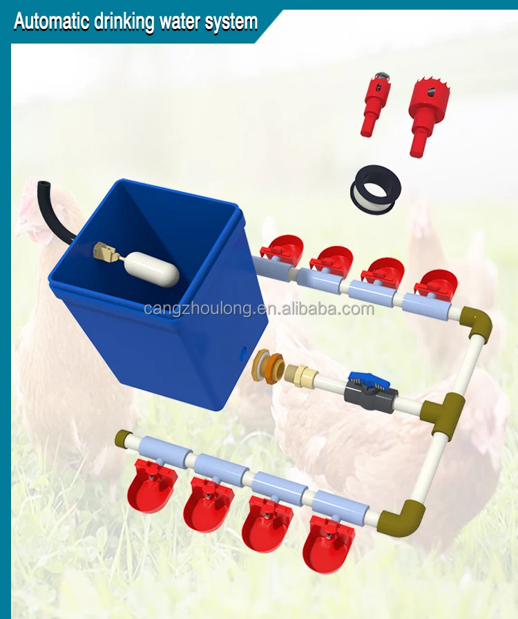 Zb Automatic Backyard Chicken Baby Chick Drinker Complete Set Pipeline ...